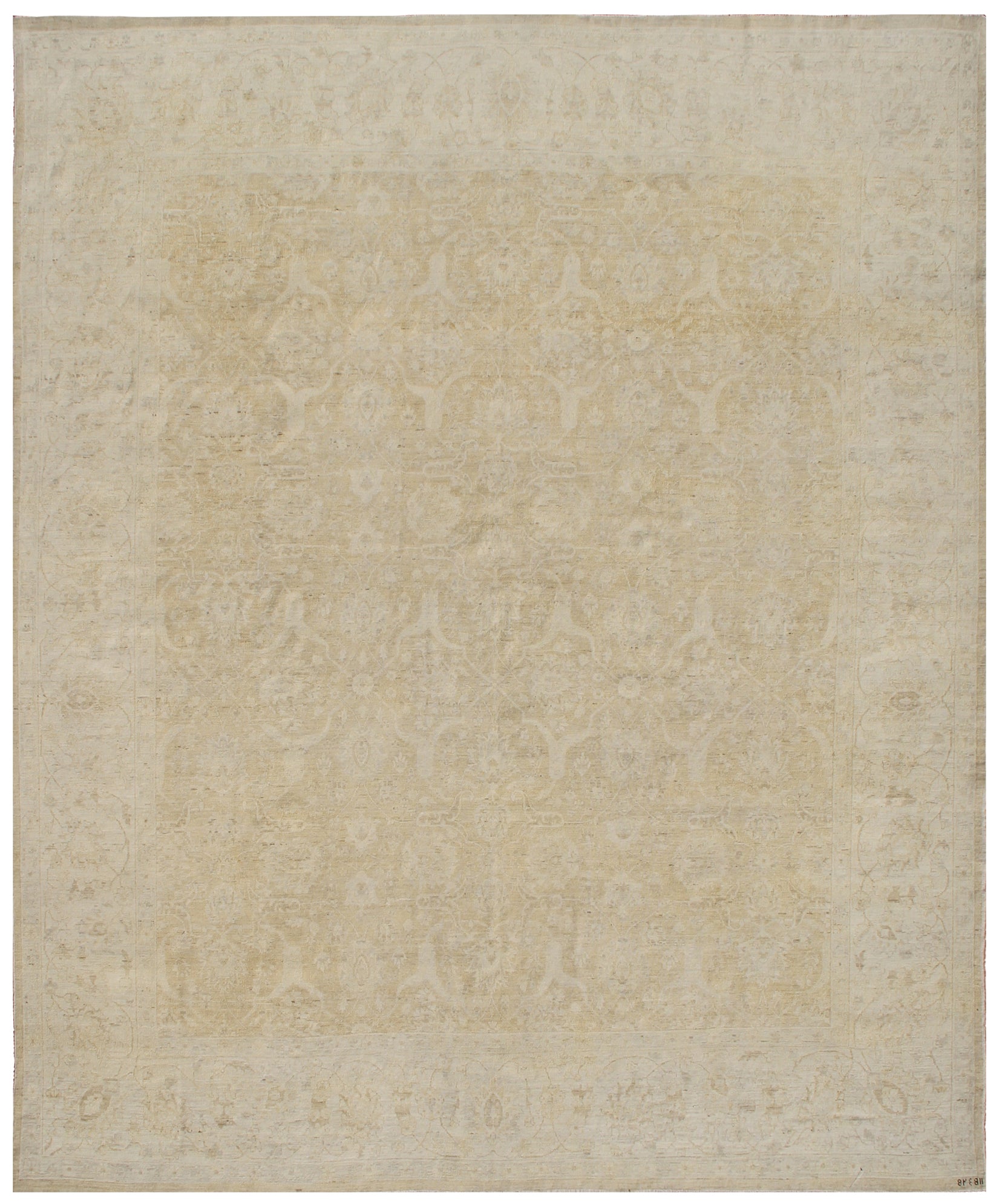 8'x10' Fine Faded Soft Earth Tone Ariana Transitional Area Rug ...